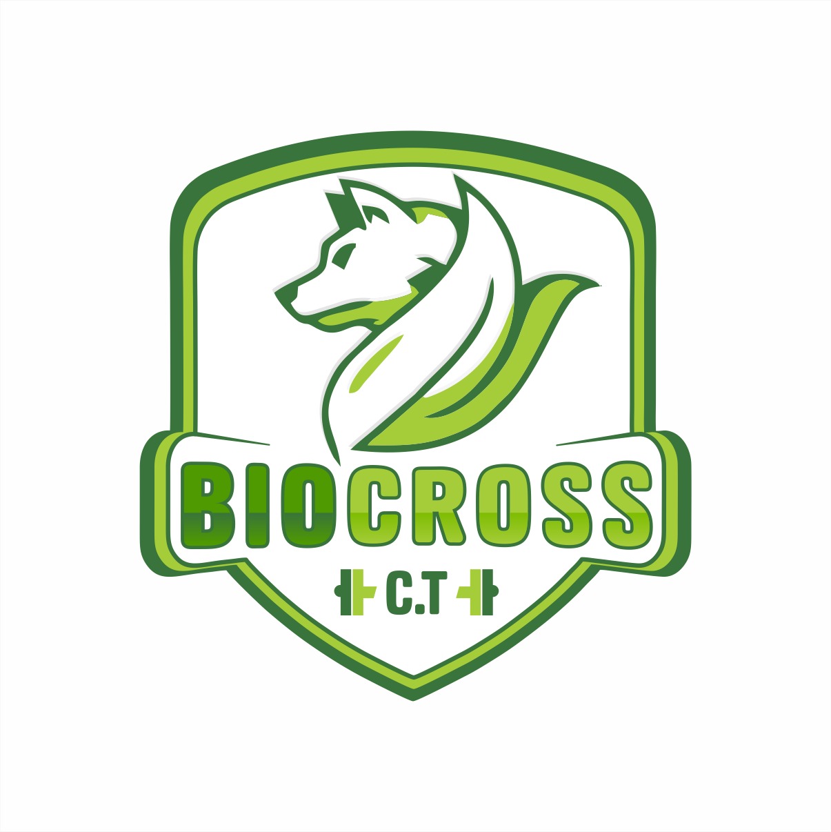 BioCross - Pompilio Sampaio