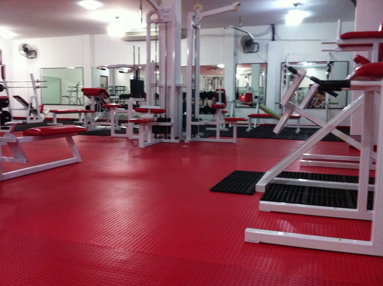 MW GYM - Monterrey